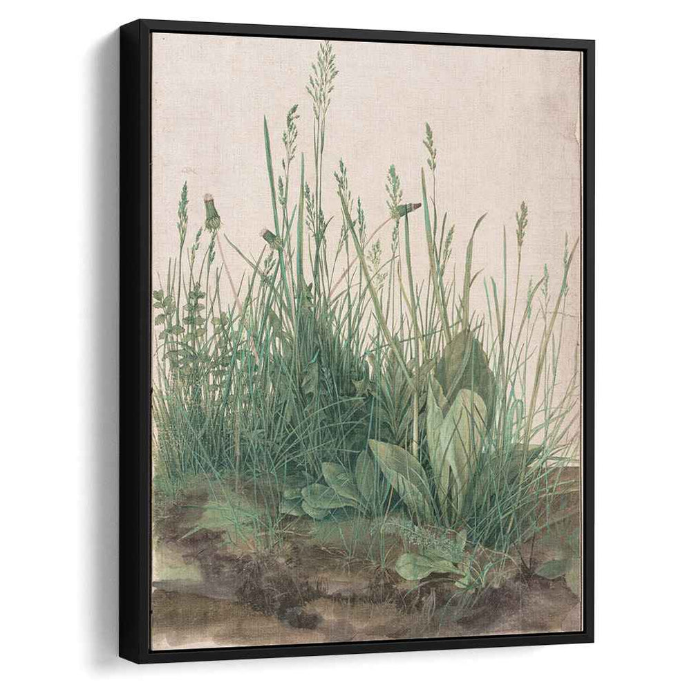 Great Piece of Turf (1503) by Albrecht Durer - Canvas Artwork — Kanvah